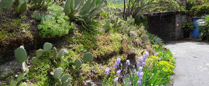 Végétaliser un Talus - Aménager une Butte - Fleurir un Jardin en Pente